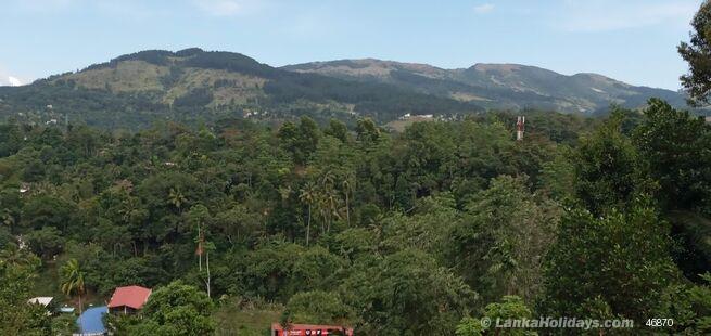 Holiday Rooms in Gelioya - A seperate Room for Rent near Peradeniya